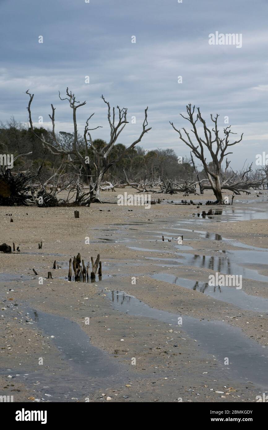 Botany Bay Plantation Heritage Preserve High Resolution Stock ...