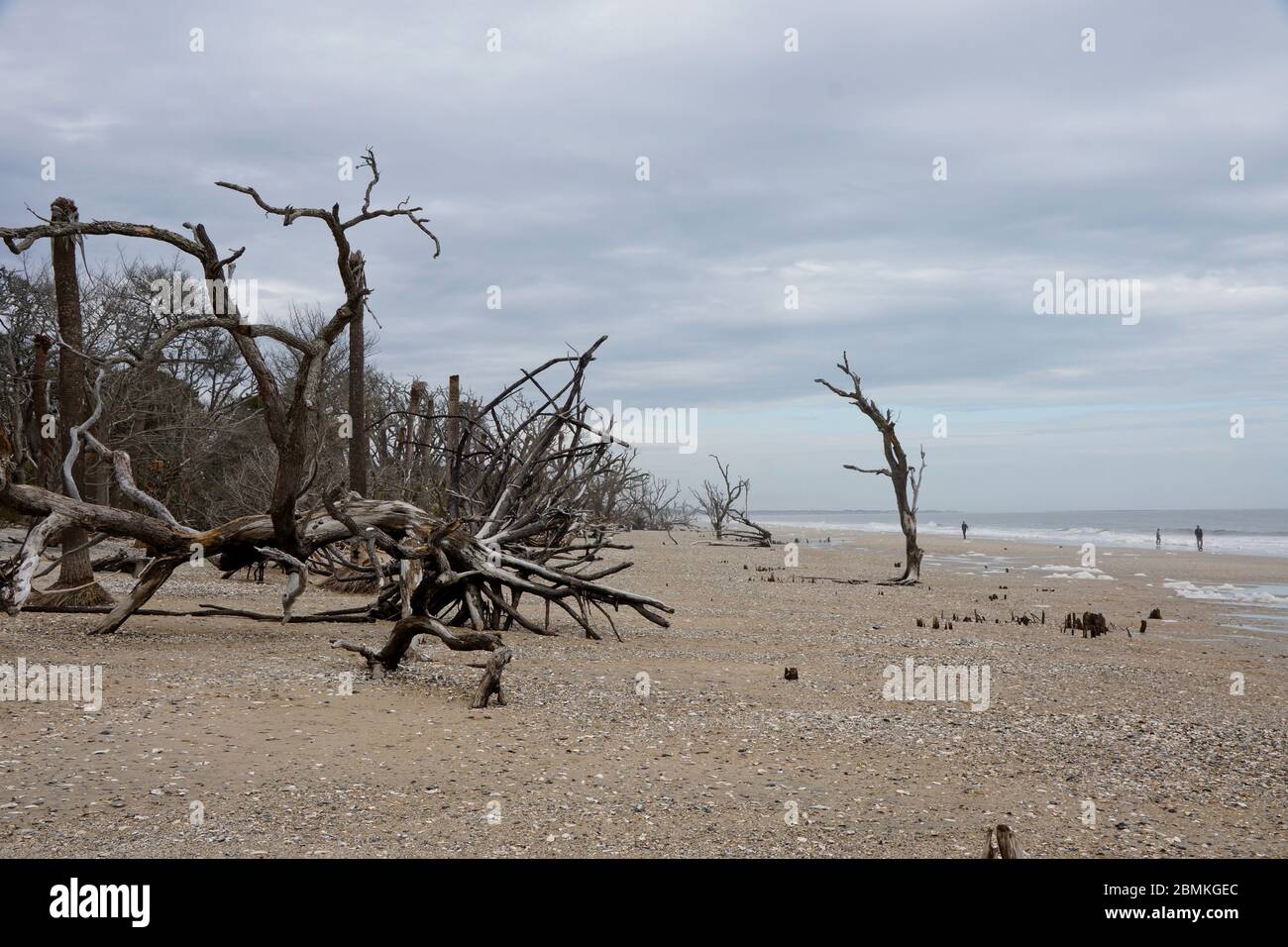 Botany Bay Plantation Heritage Preserve High Resolution Stock ...