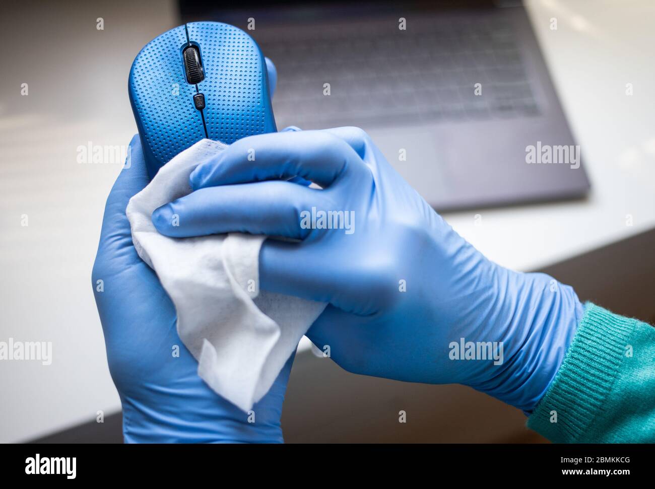 Mouse Washing High Resolution Stock Photography and Images - Alamy
