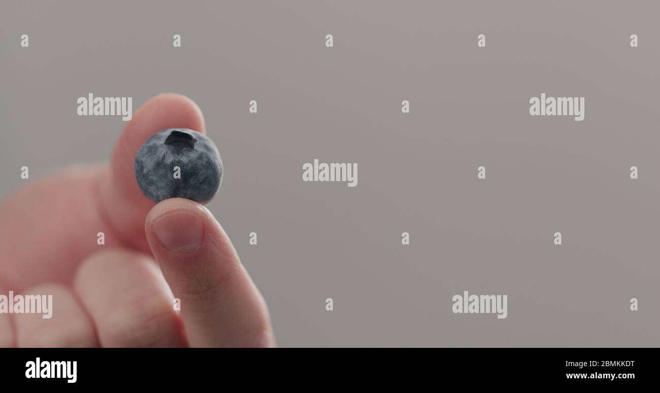 man hand show ripe blueberry closeup Stock Photo - Alamy