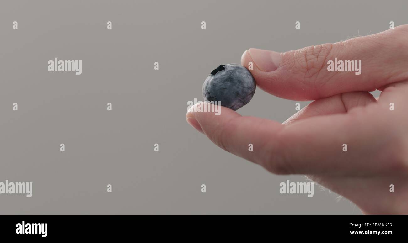 Man hand holding blueberry hi-res stock photography and images - Alamy