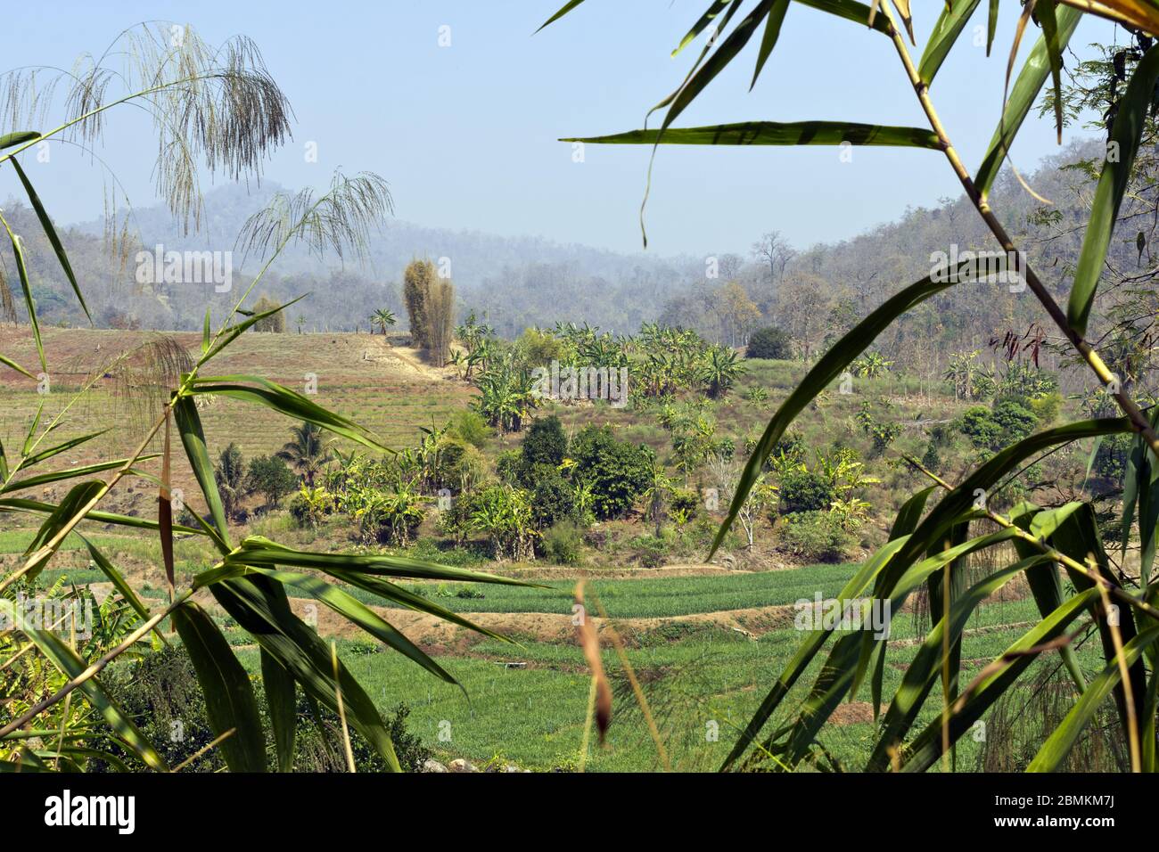 Beautiful Scenery at Pai, Thailand, Asia Stock Photo - Alamy
