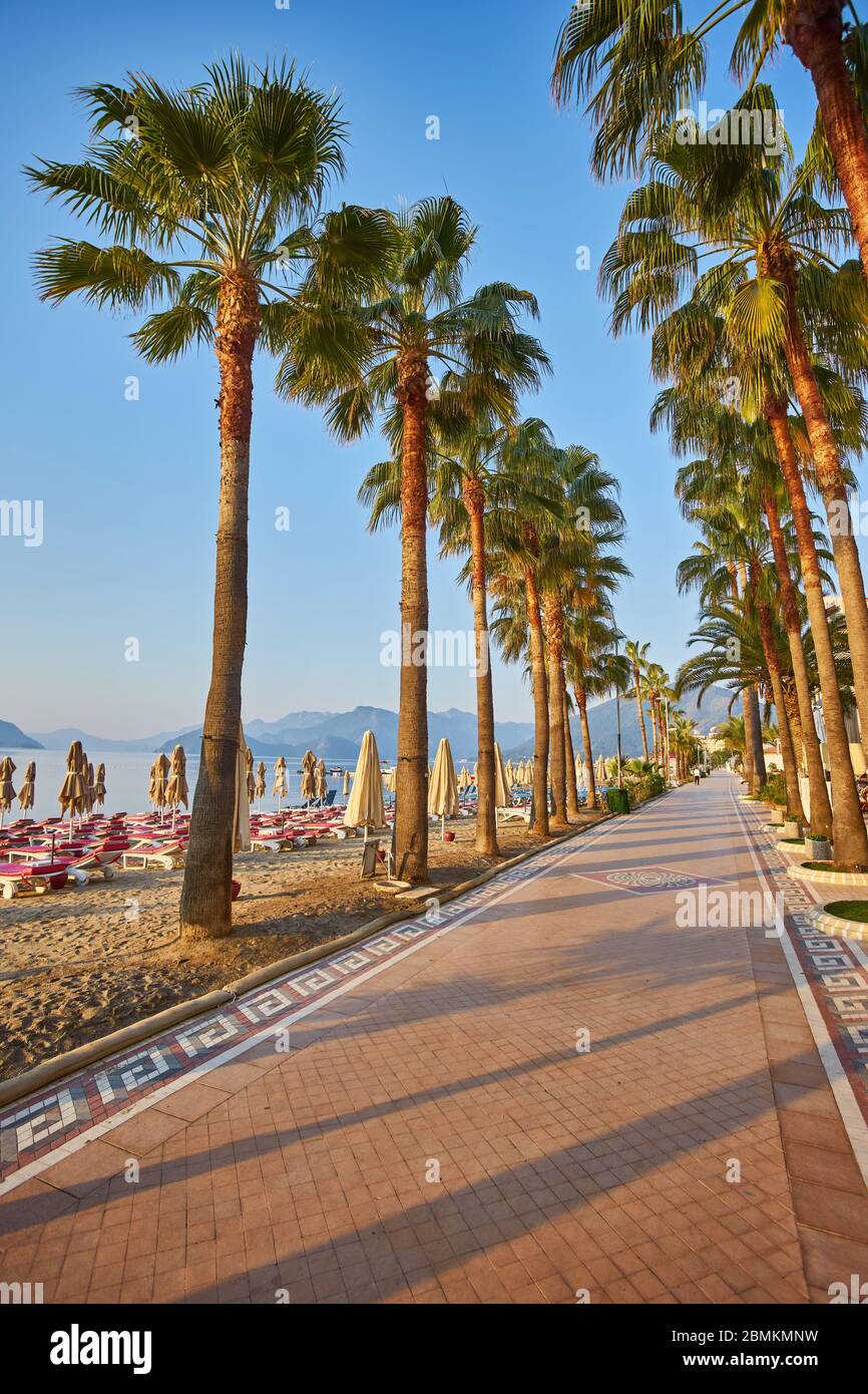 Beautiful promenade with palm trees in Marmaris. Turkey Stock Photo - Alamy