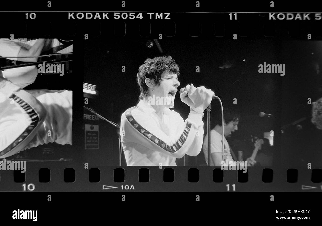 Frontman Alexander Boag with These Animal Men performing live at the ...