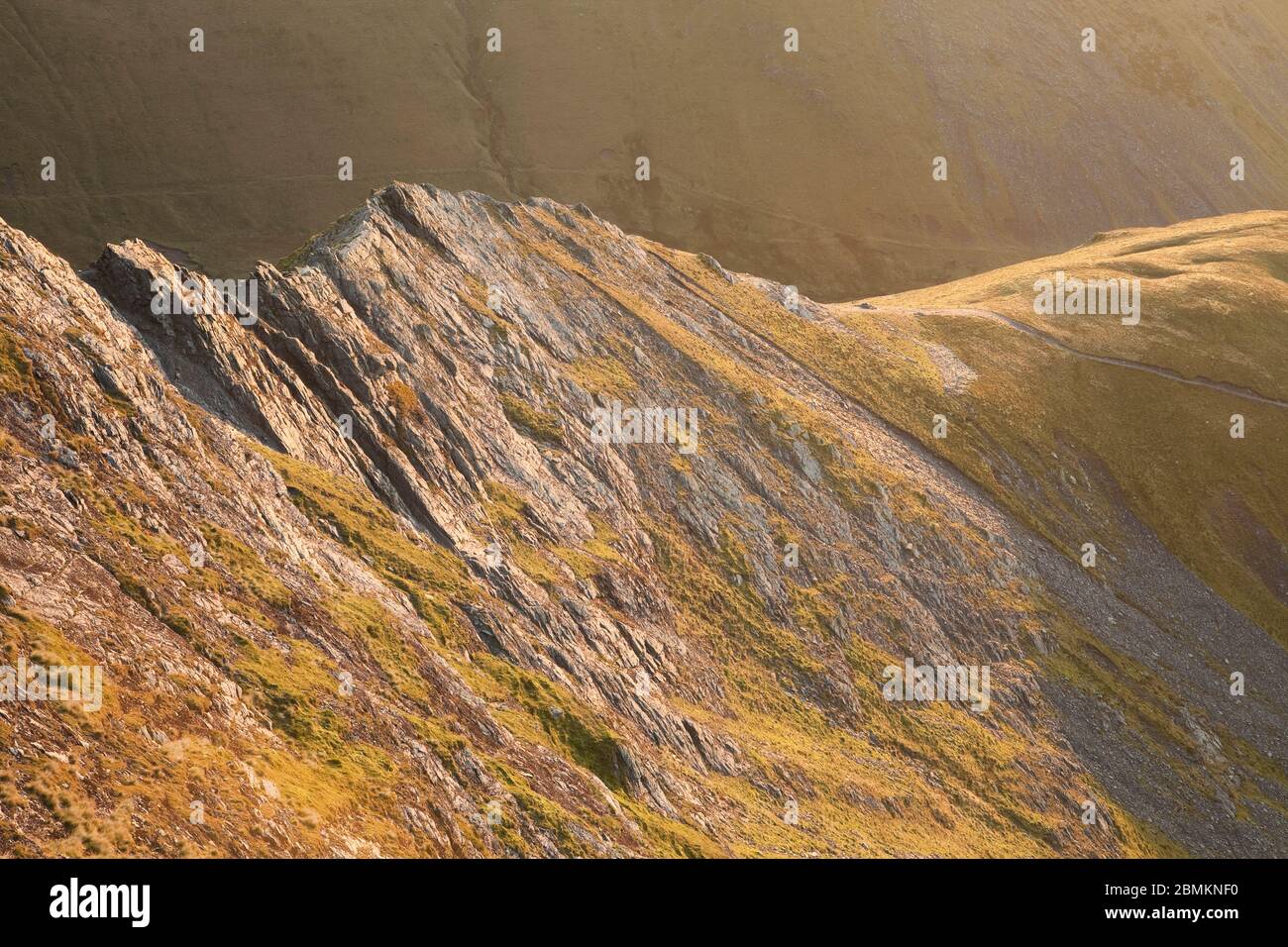 Sharp Edge ridge on Blencathra, in the English Lake District Stock ...