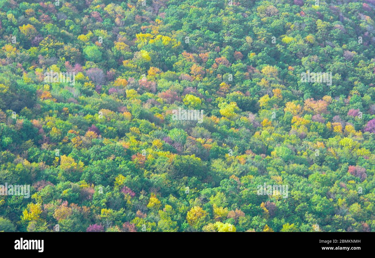 Different colors of autumn trees hi-res stock photography and images ...
