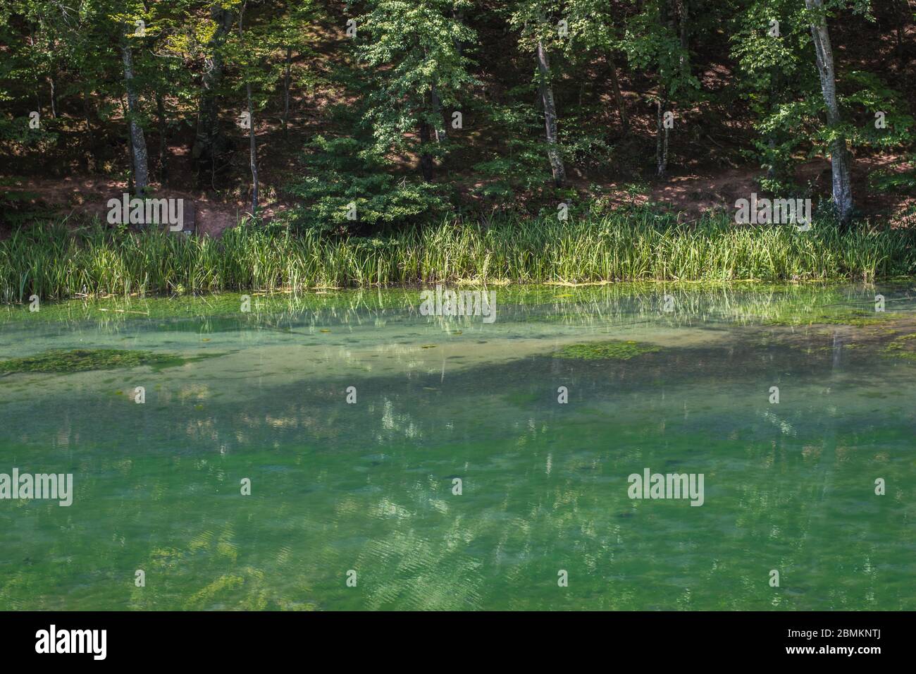 Lake Grza near city Paraćin in the central Serbia Stock Photo - Alamy