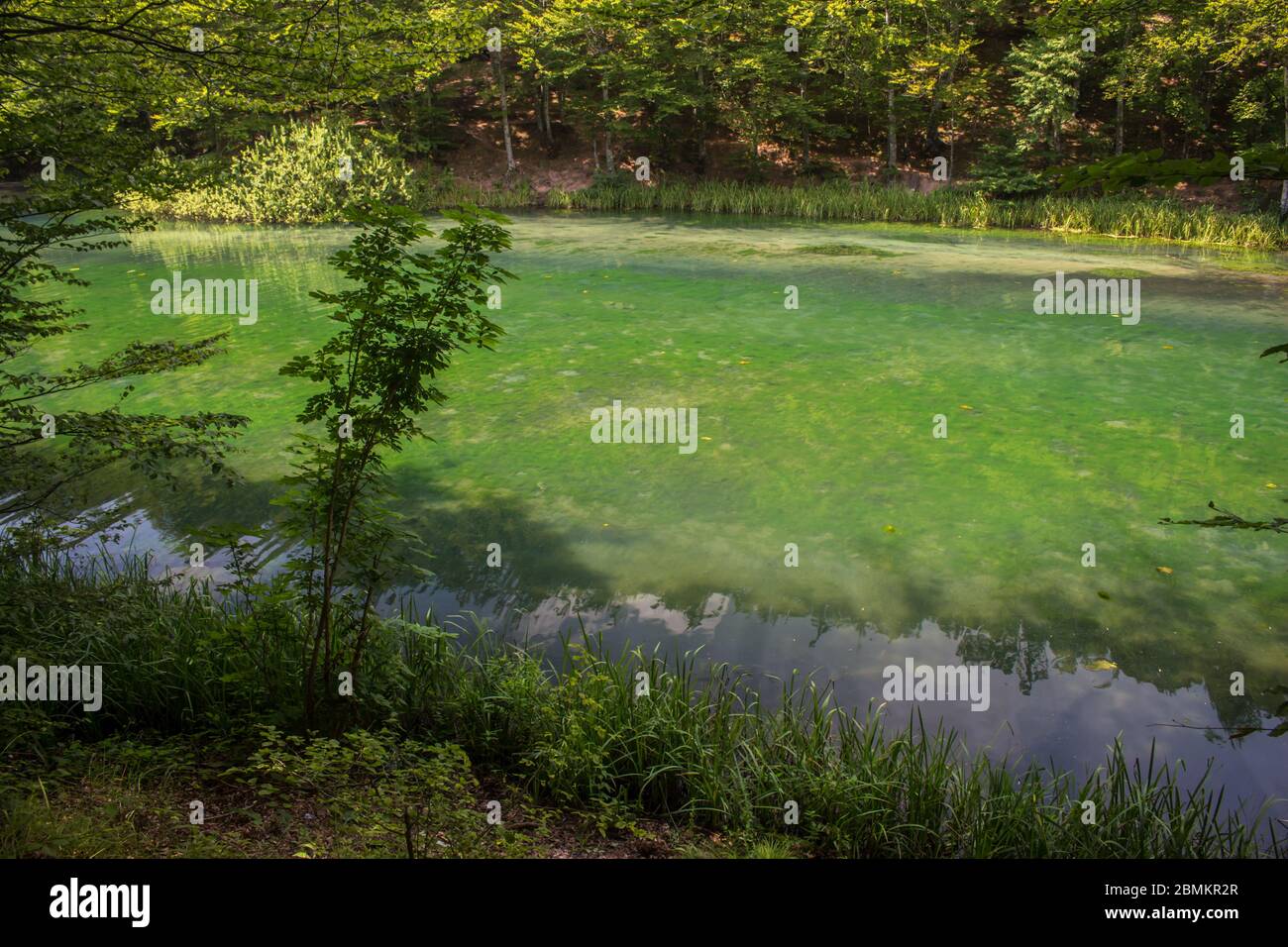 Grza hi-res stock photography and images - Alamy