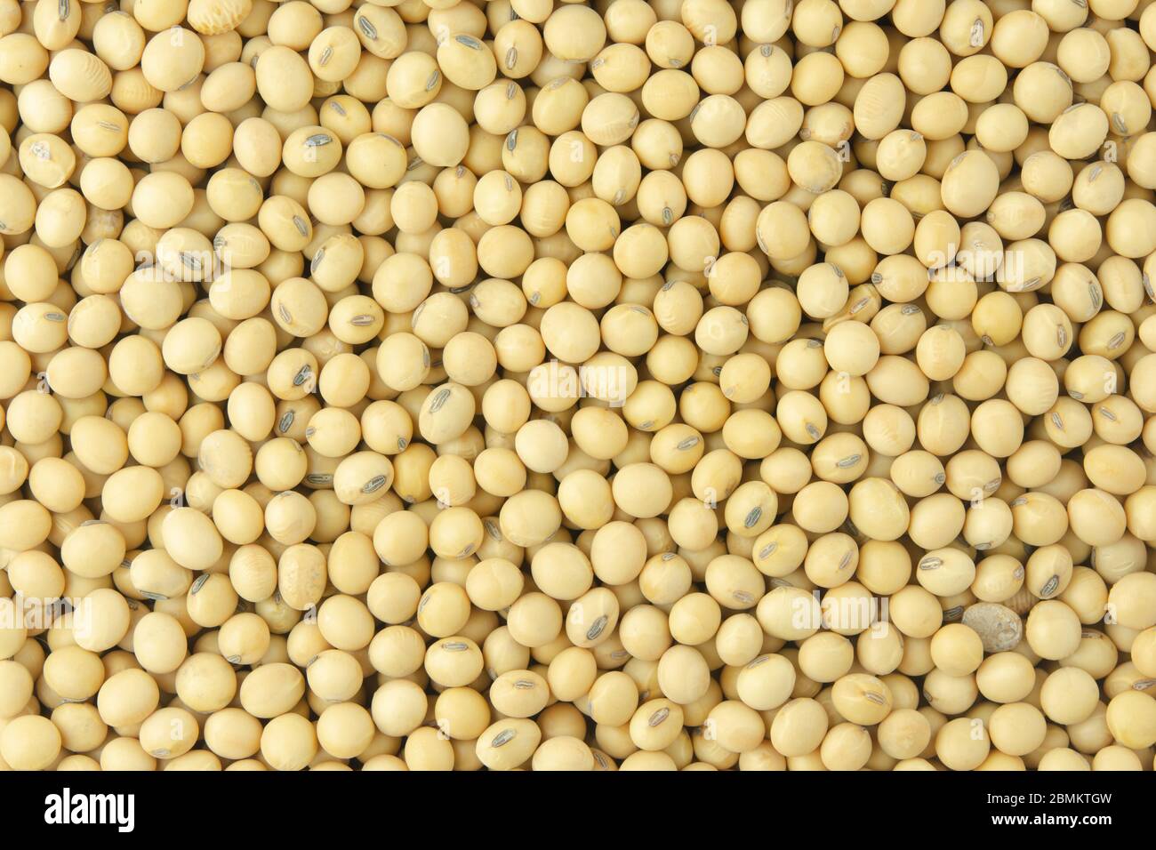 Soybean pattern as for background Stock Photo - Alamy