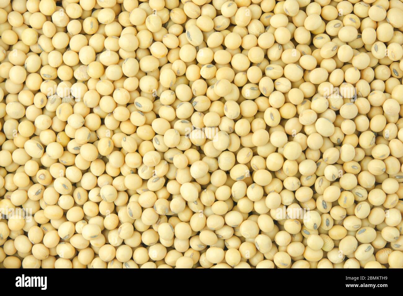 Soybean pattern as for background Stock Photo - Alamy