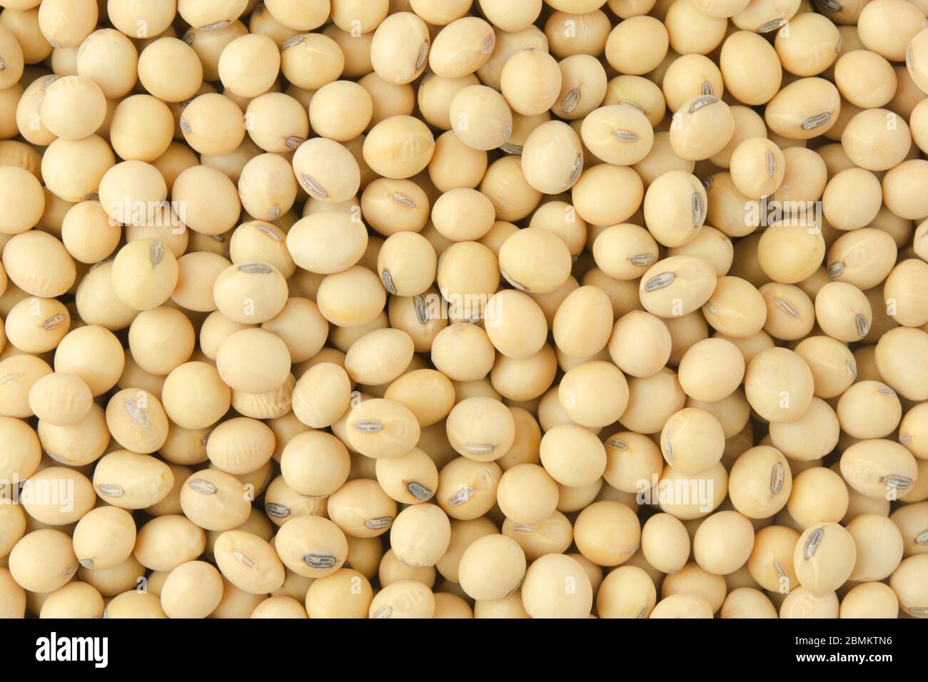 Soybean pattern as for background Stock Photo - Alamy