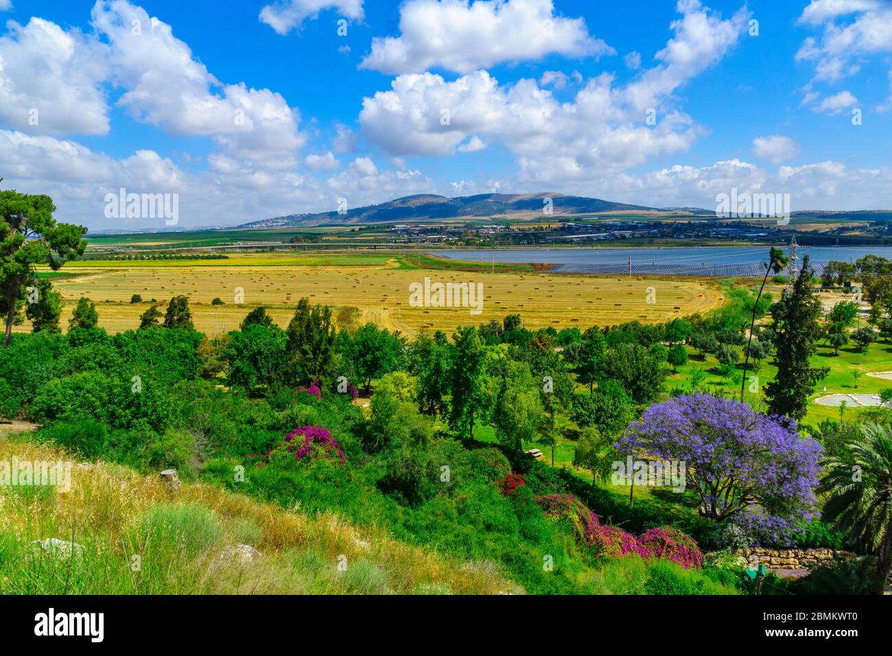 Landscape of Harod Valley and the Jezreel Valley, with Maayan Harod ...