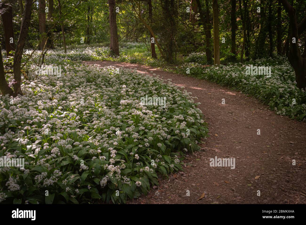 English park in spring hi-res stock photography and images - Alamy