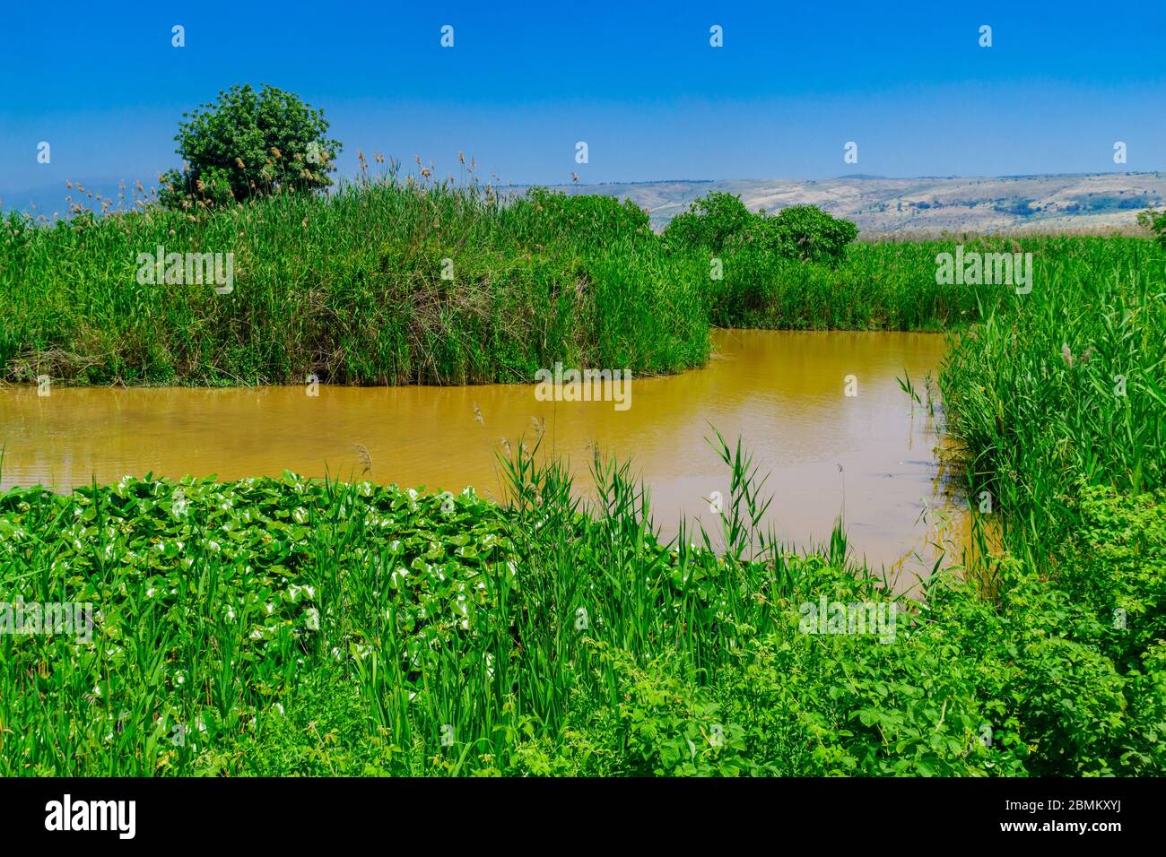 Hula Nature Reserve High Resolution Stock Photography and Images - Alamy