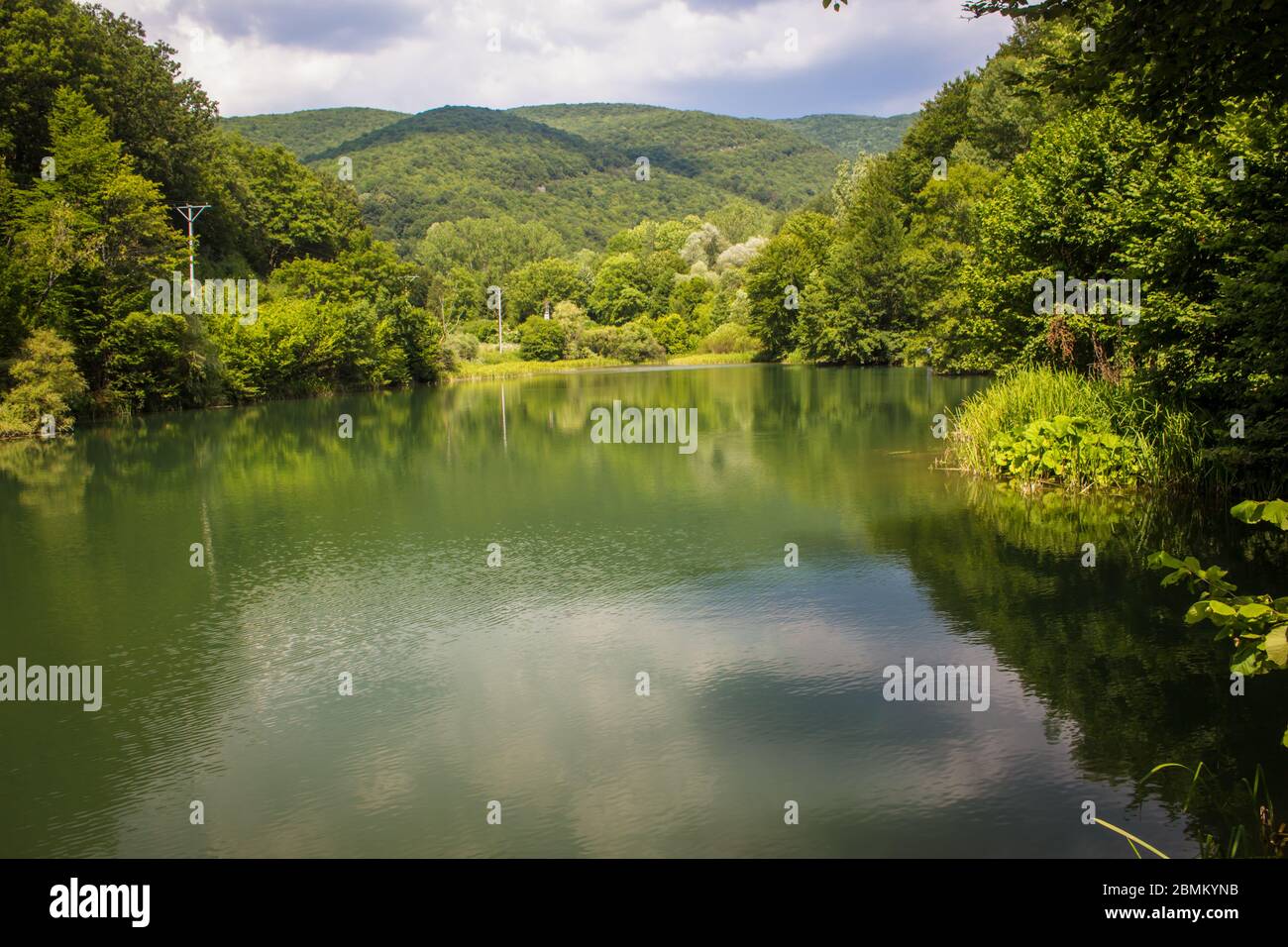 Paracin hi-res stock photography and images - Alamy