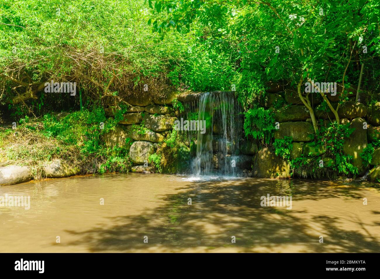 View of the travertine falls in the Snir Stream (Hasbani River) Nature ...