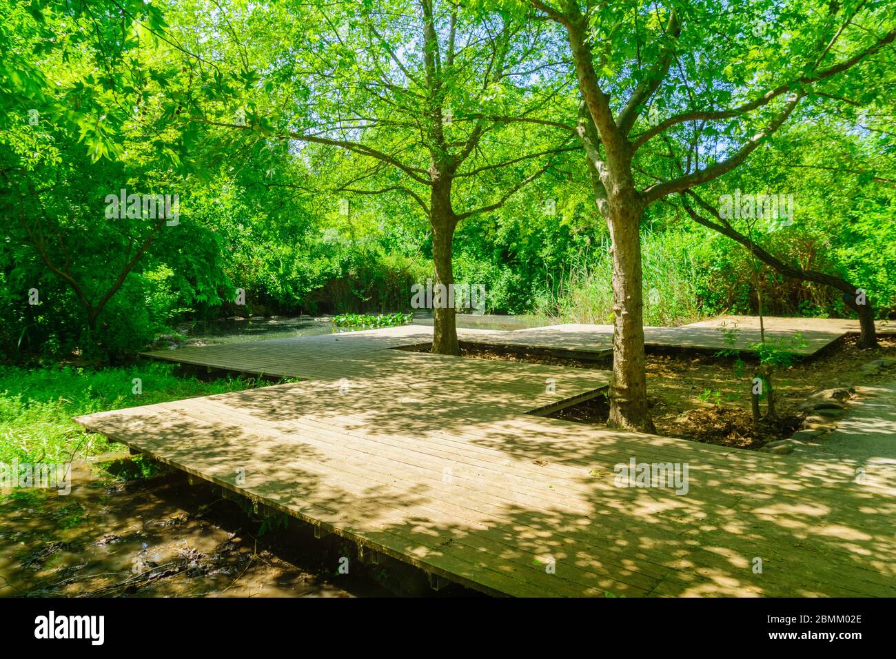 View of boardwalk and pools in the Snir Stream (Hasbani River) Nature ...