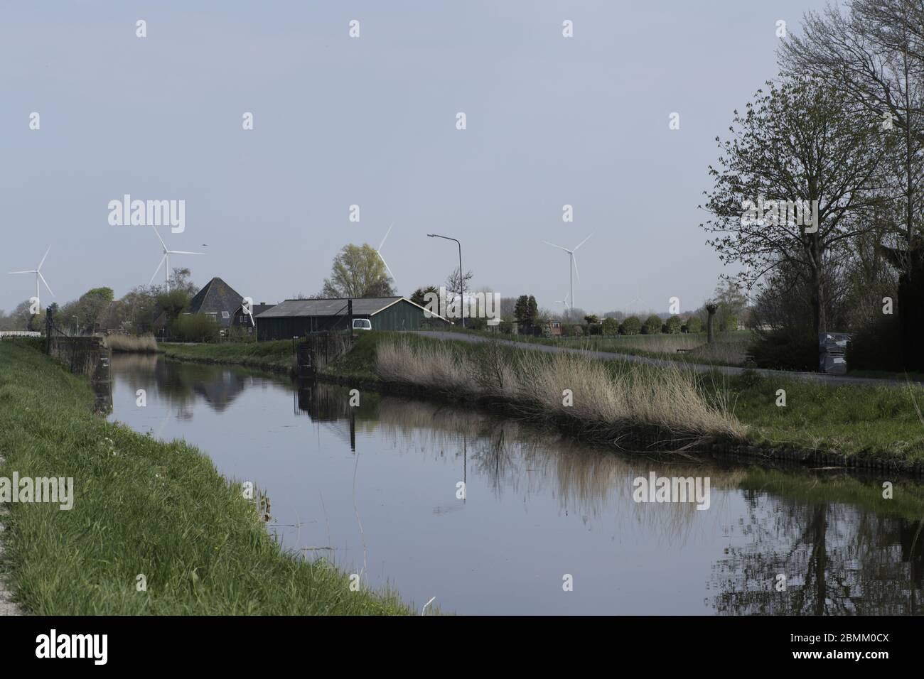 Typical dutch landscape with canal and farmhouse Stock Photo - Alamy
