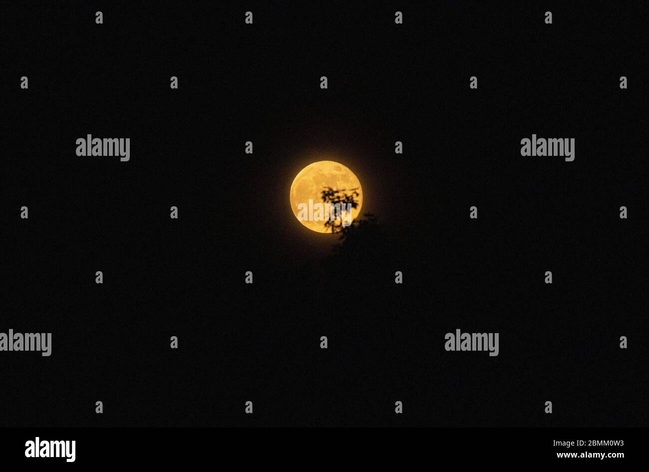 Full moon glow Stock Photo - Alamy