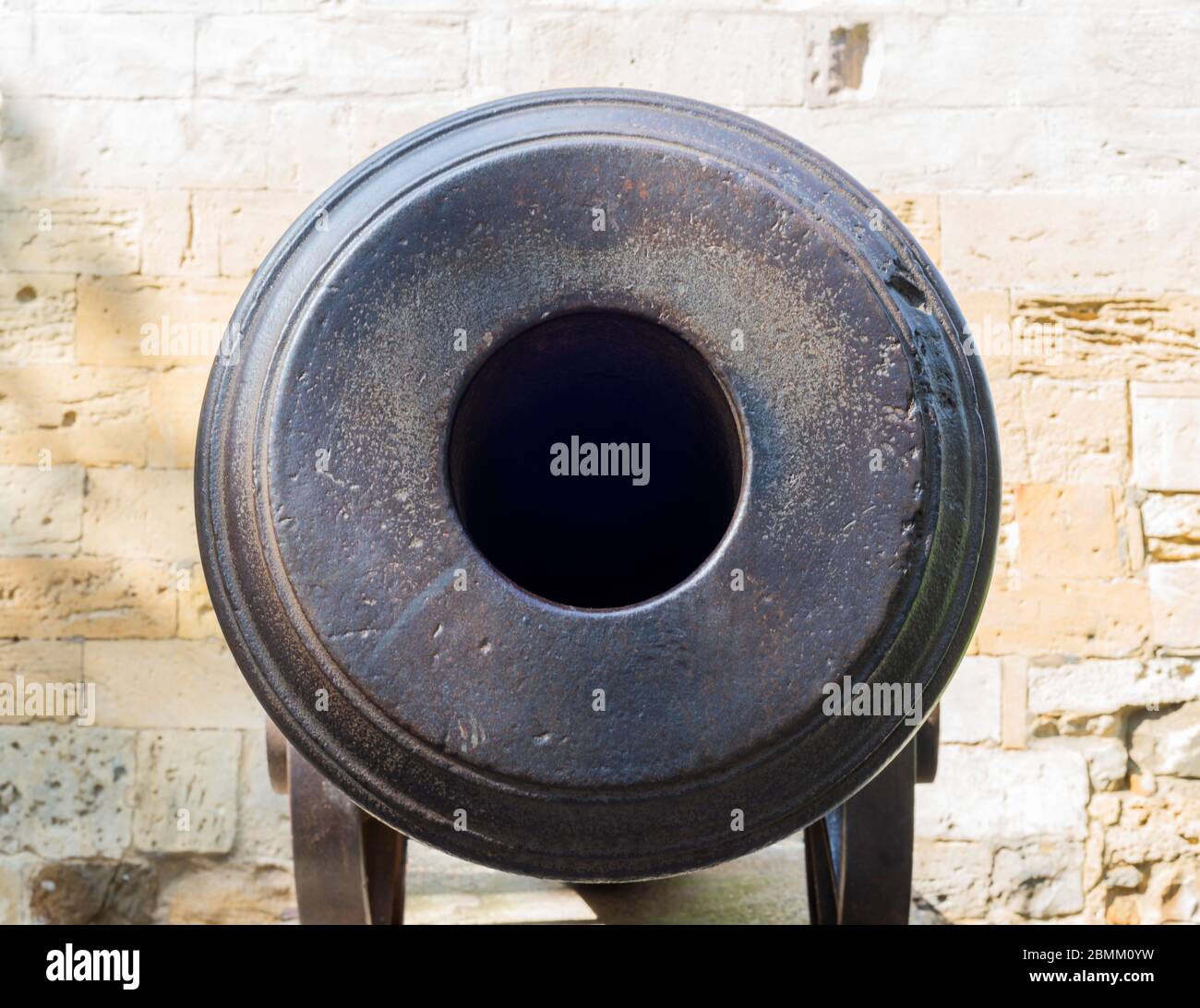 Macro gun hi-res stock photography and images - Alamy