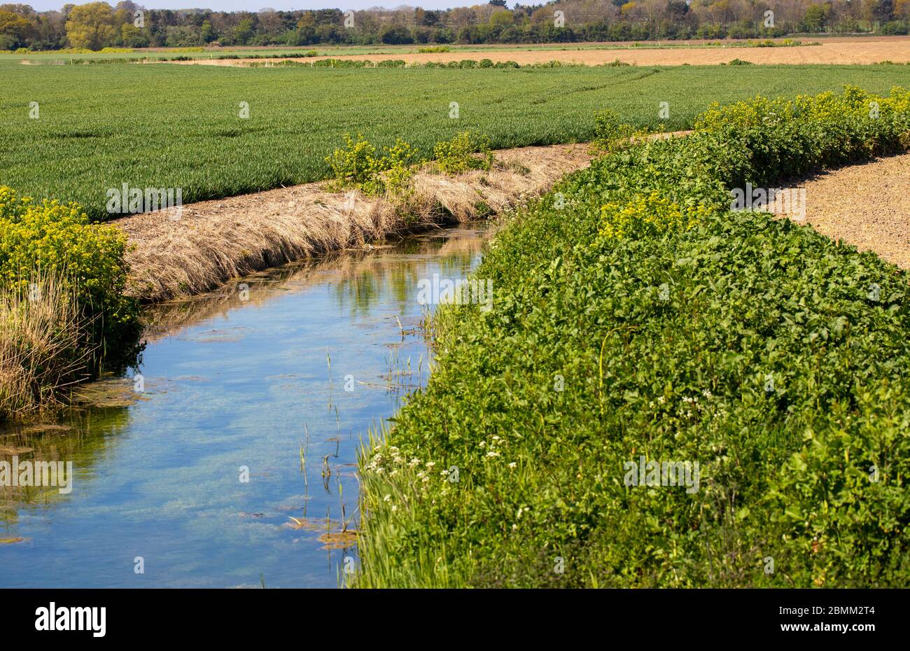 Water in drainage ditch channel through arable farmland, Hollesley ...