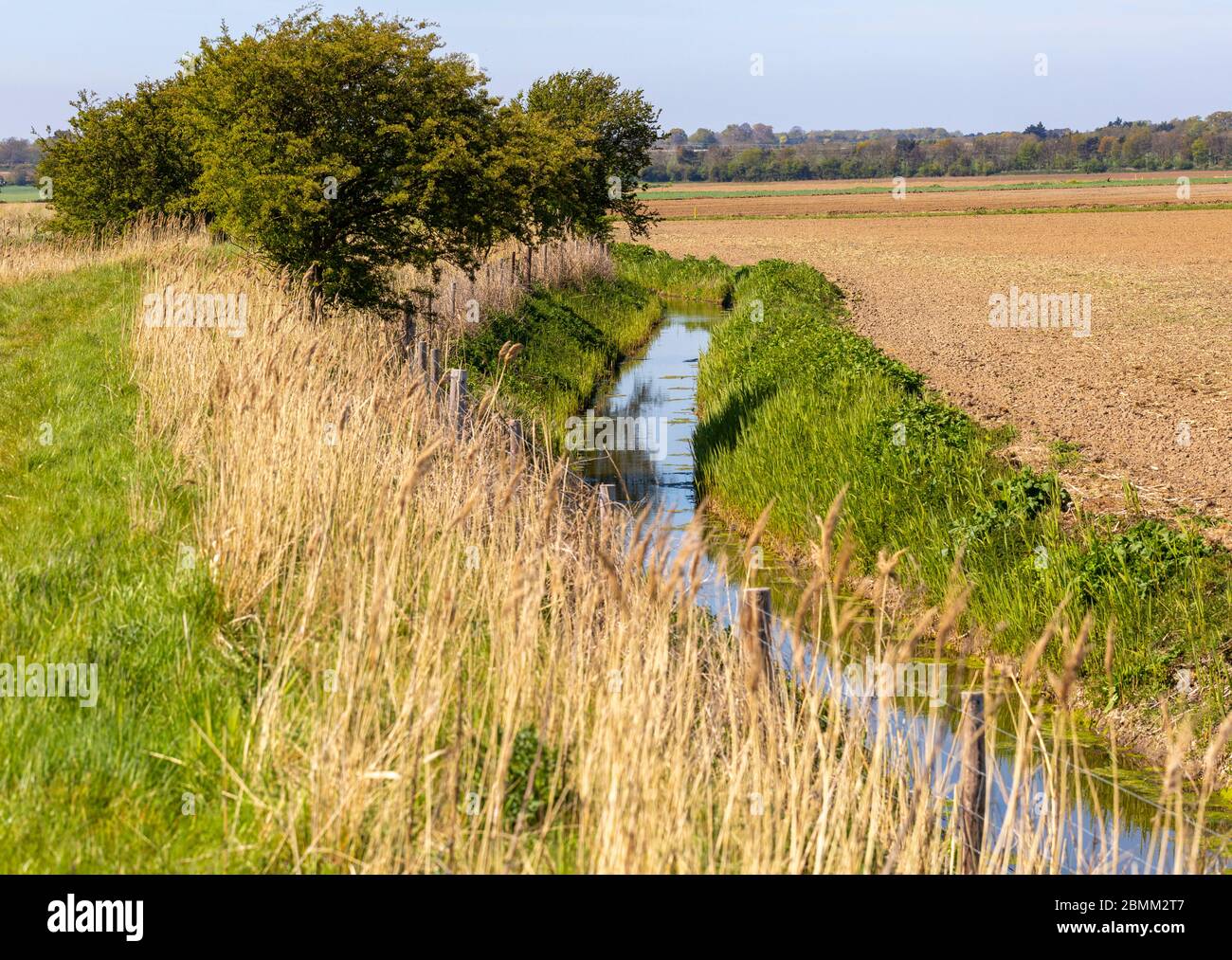 Water in drainage ditch channel through arable farmland, Hollesley ...