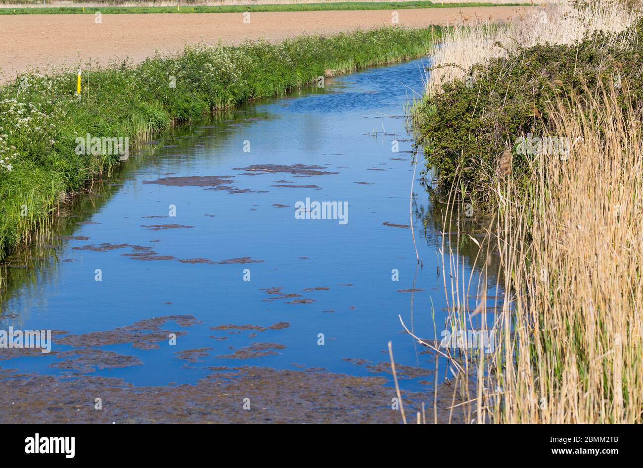 Water in drainage ditch channel through arable farmland, Hollesley ...