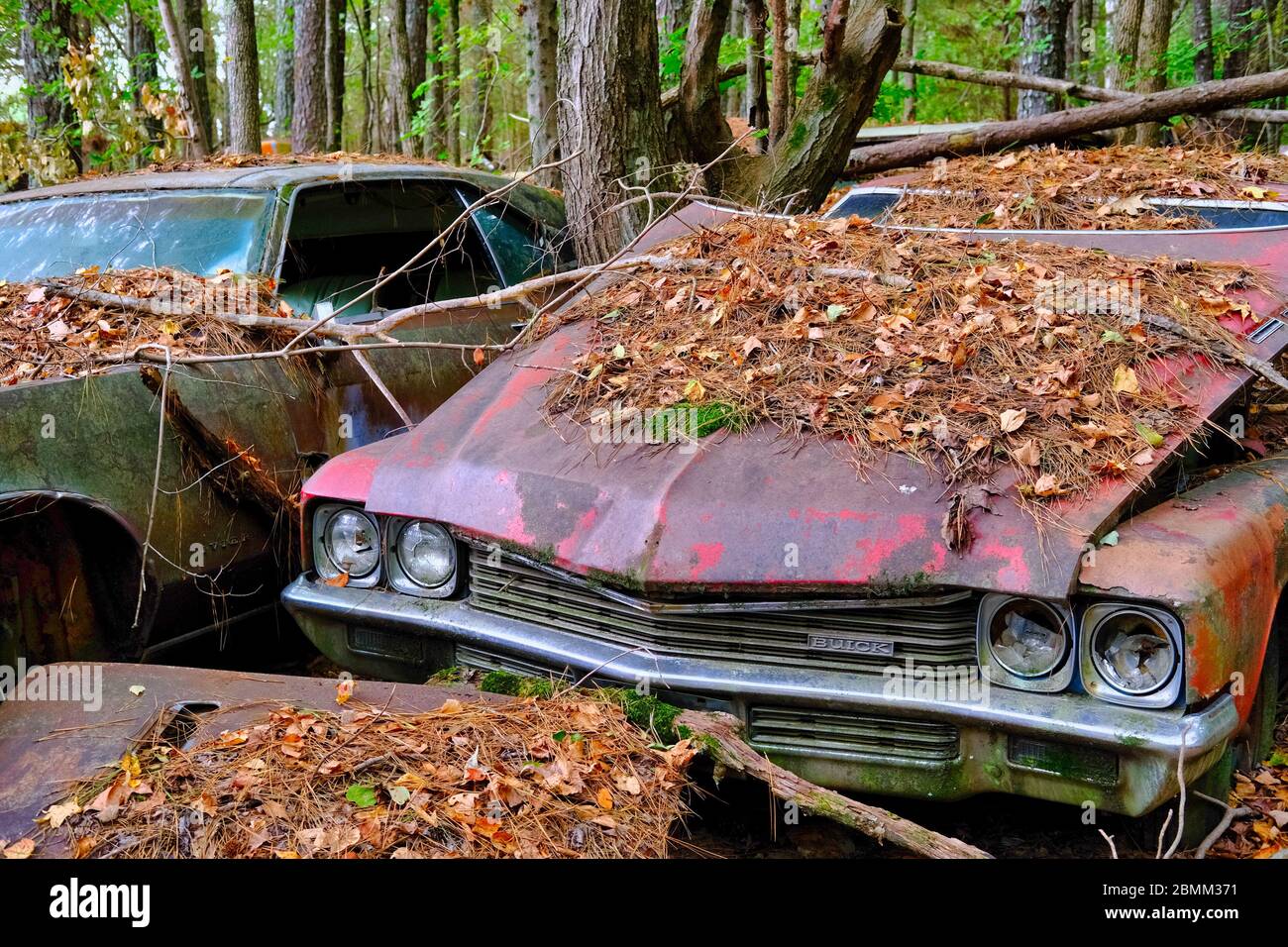 Broken Hood on Old Buick Stock Photo - Alamy