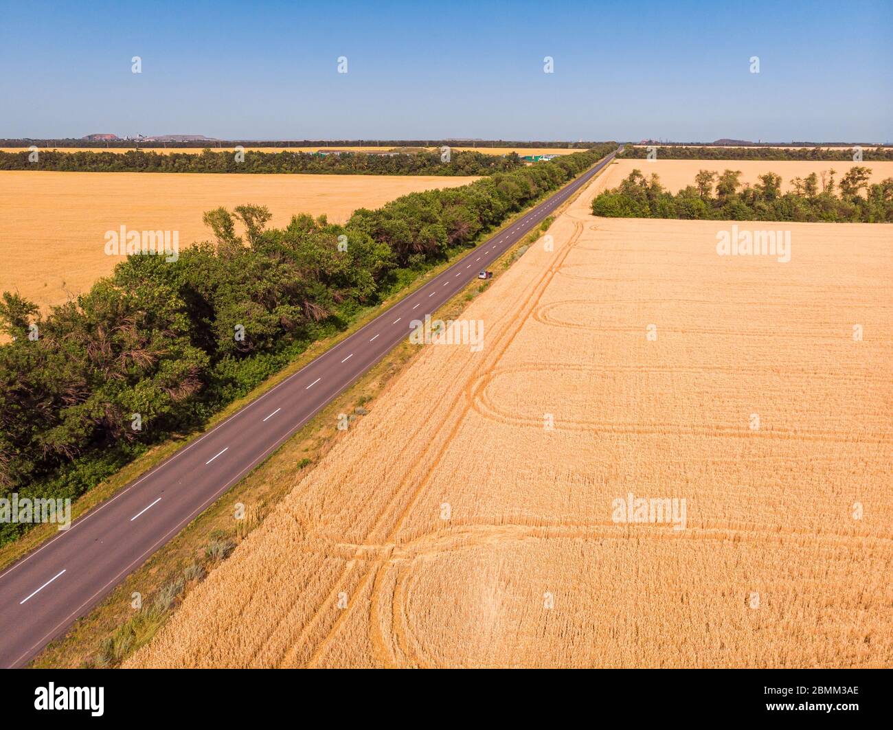 Flying through corn field hi-res stock photography and images - Alamy