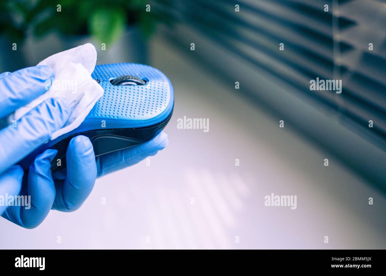 Mouse Washing High Resolution Stock Photography and Images - Alamy
