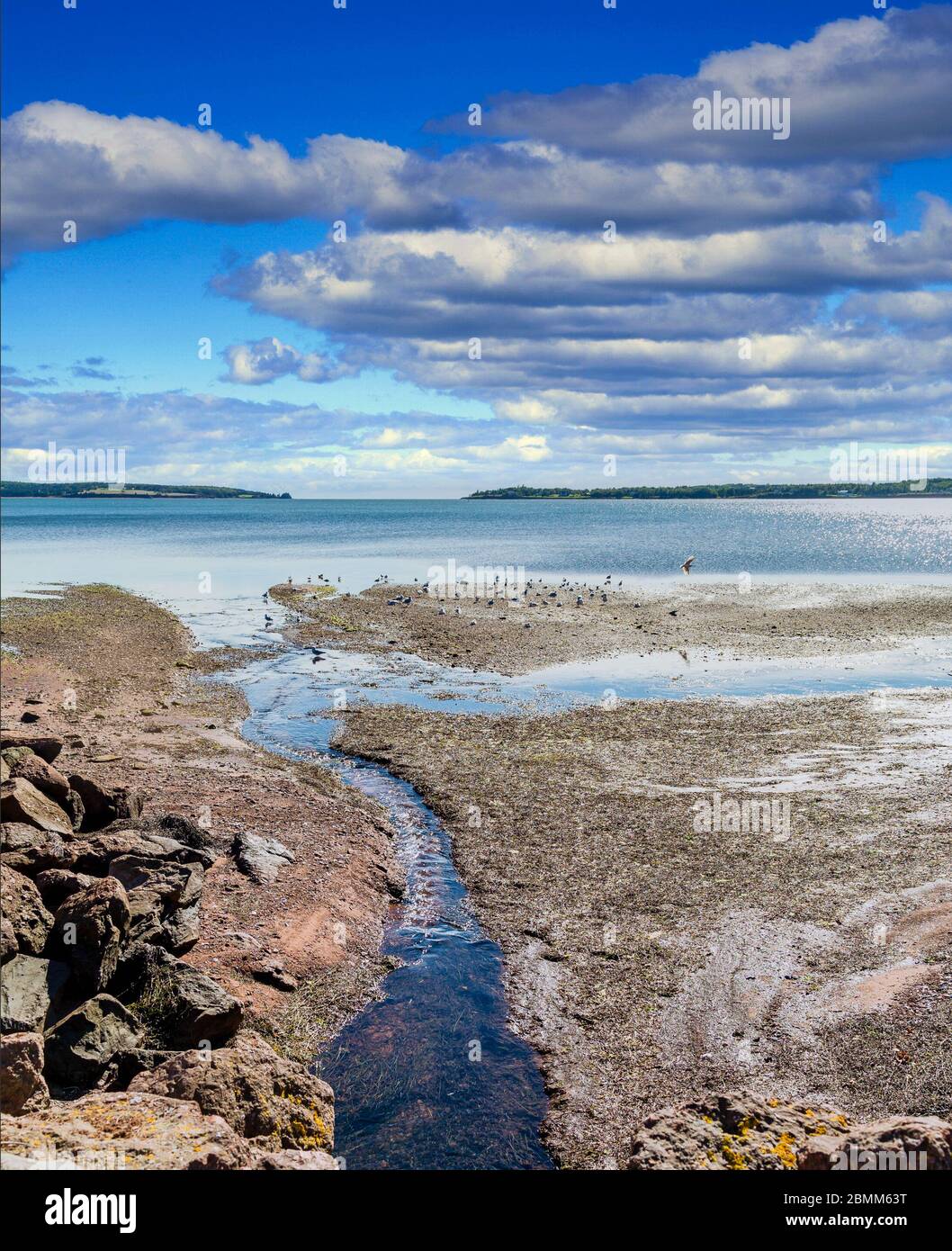 Tidal Pool on Canadian Coast Stock Photo - Alamy