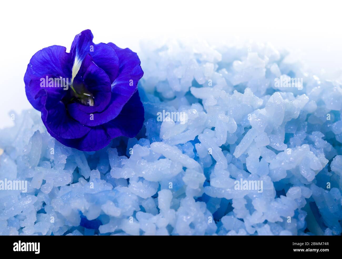 Blue color cooked rice by color of butterfly pea flower Stock Photo - Alamy