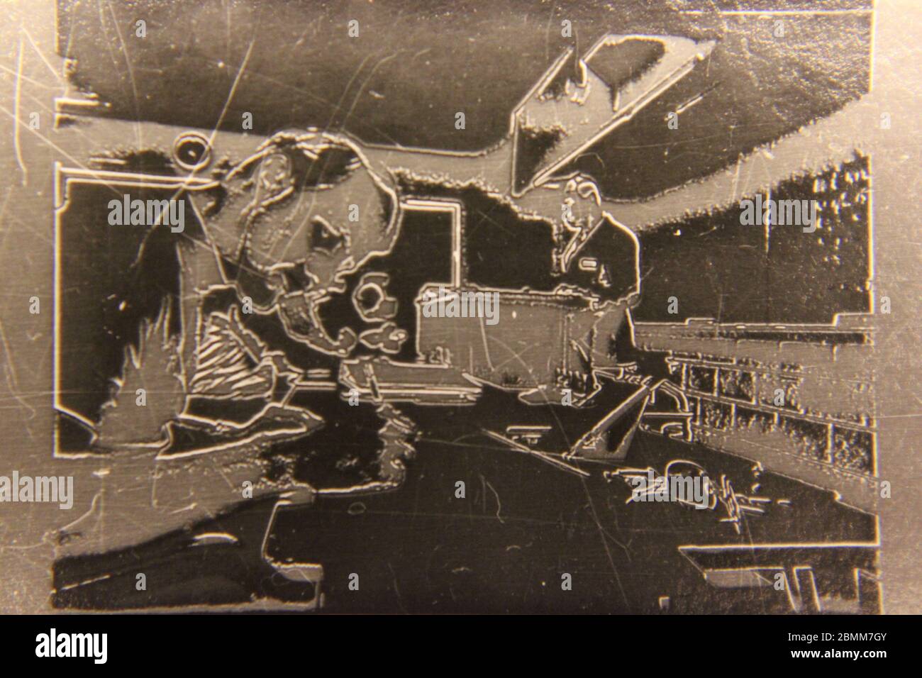 Fine 70s vintage black and white extreme photography of an adult ...