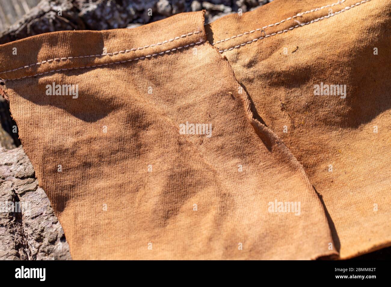 Dyed bark hi-res stock photography and images - Alamy