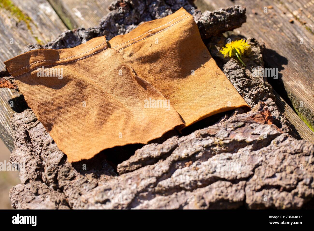 Dyed bark hi-res stock photography and images - Alamy