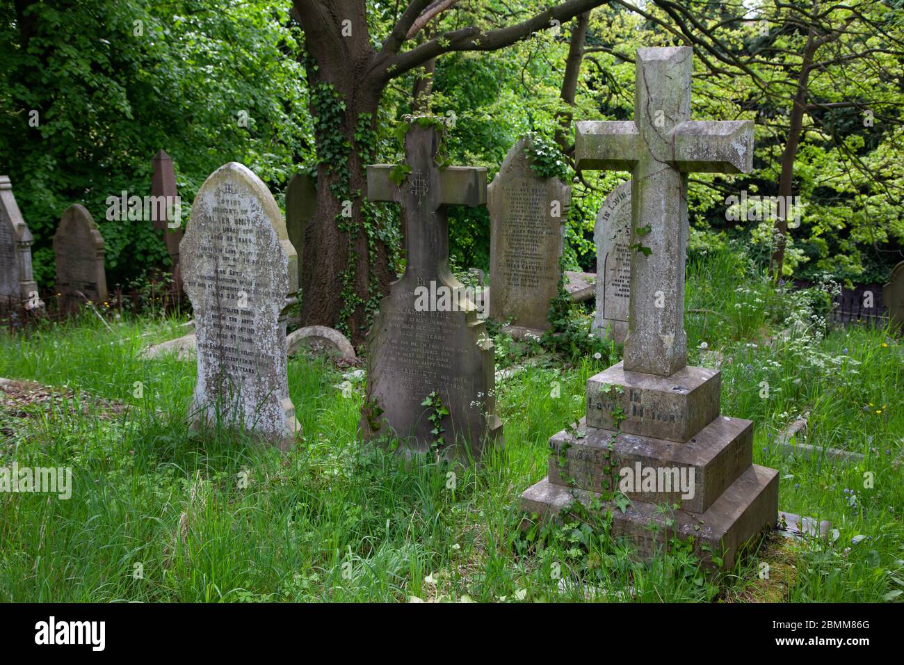 Wordsley hi-res stock photography and images - Alamy