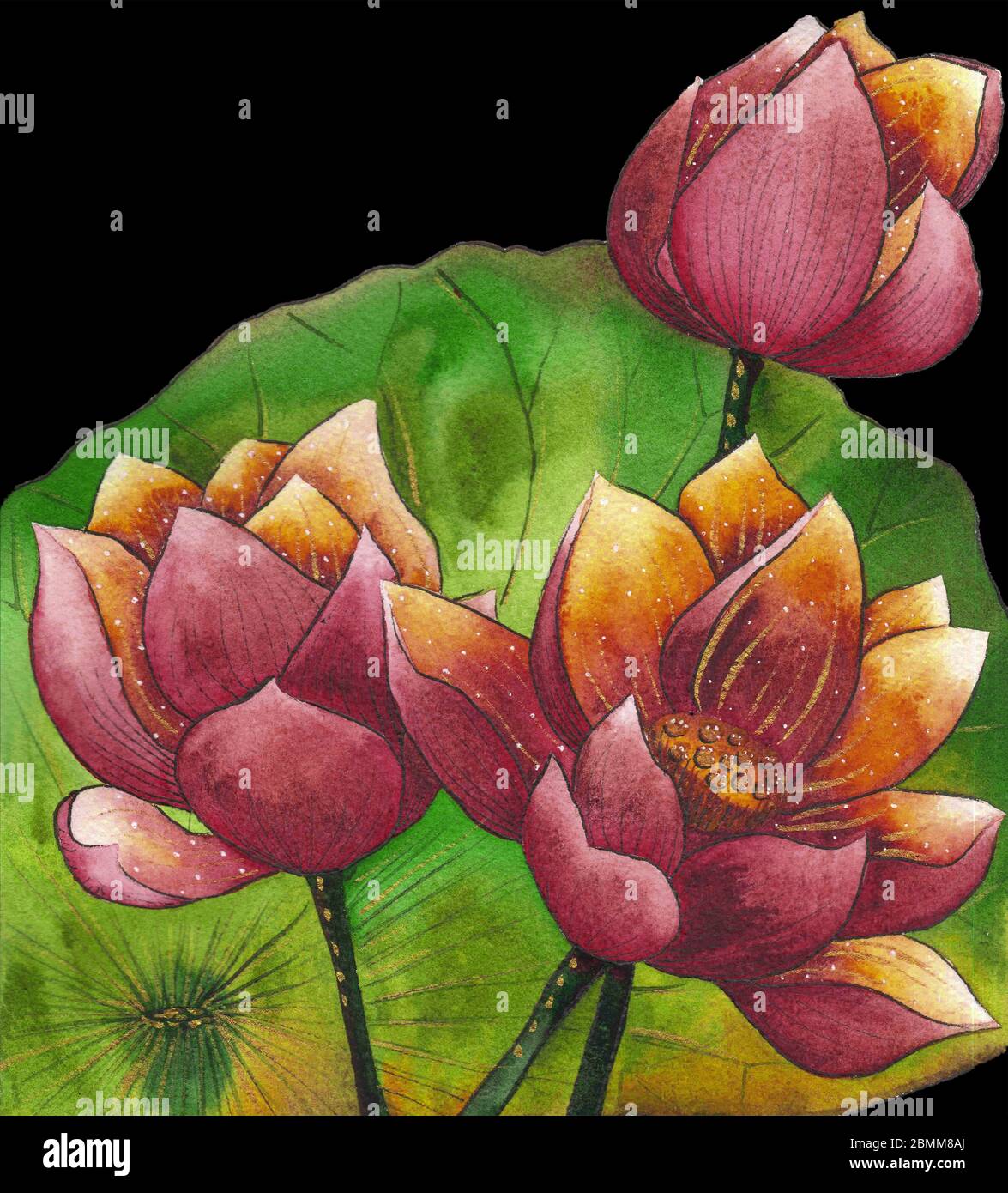 Red Lotus Flower Paintings