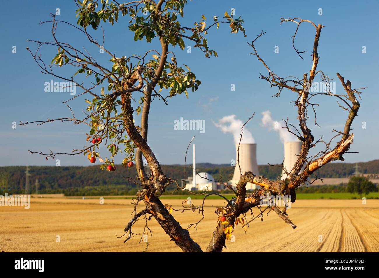 A sad looking apple tree in front of a nuclear power plant Stock Photo ...