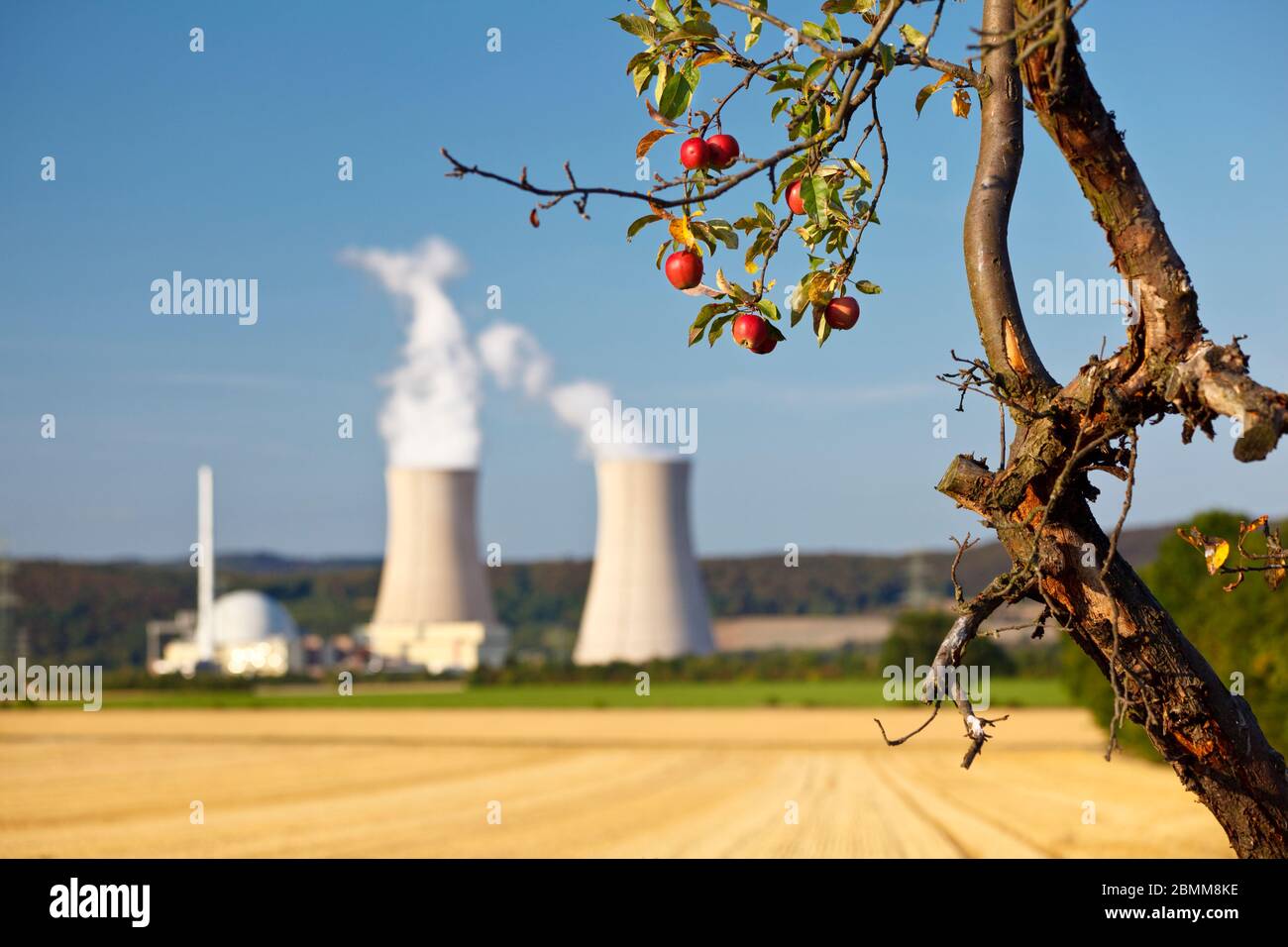 A sad looking apple tree in front of a nuclear power plant Stock Photo ...