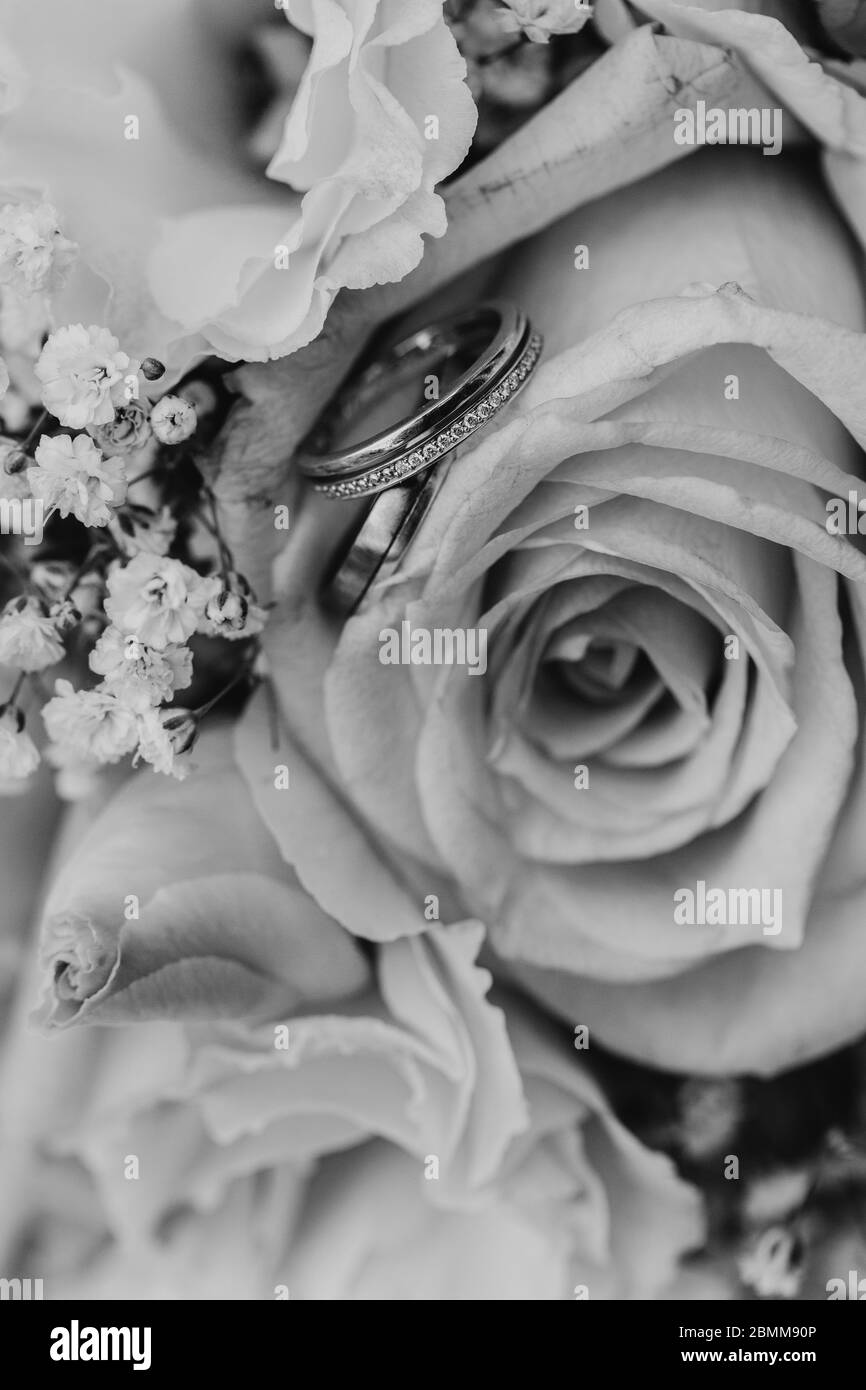 wedding rings close up Stock Photo - Alamy