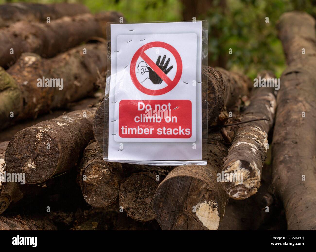 Do not climb on timber stacks sign on pile of logs, Sutton, Suffolk ...