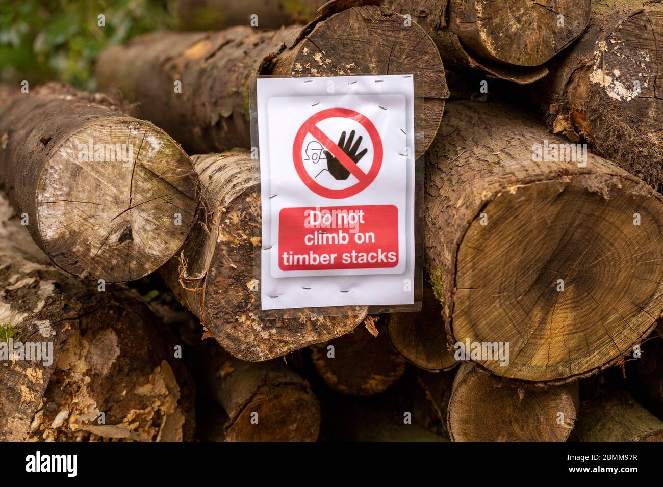 Do not climb on timber stacks sign on pile of logs, Sutton, Suffolk ...