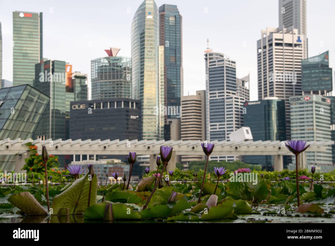 panoramic Modern architecture from singapore, 2020 Stock Photo - Alamy