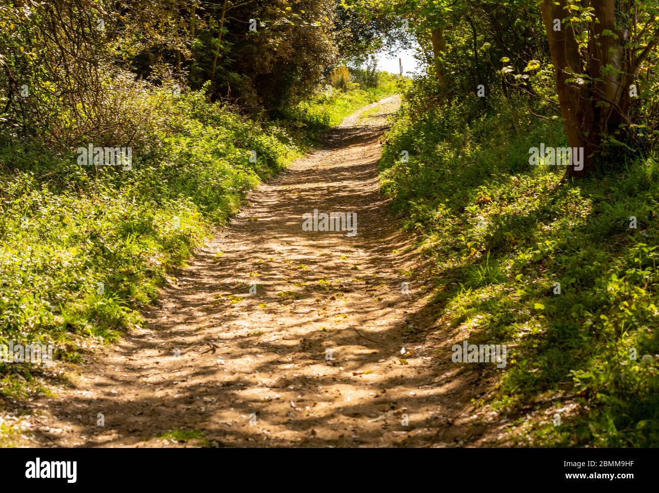 Green formed hi-res stock photography and images - Alamy