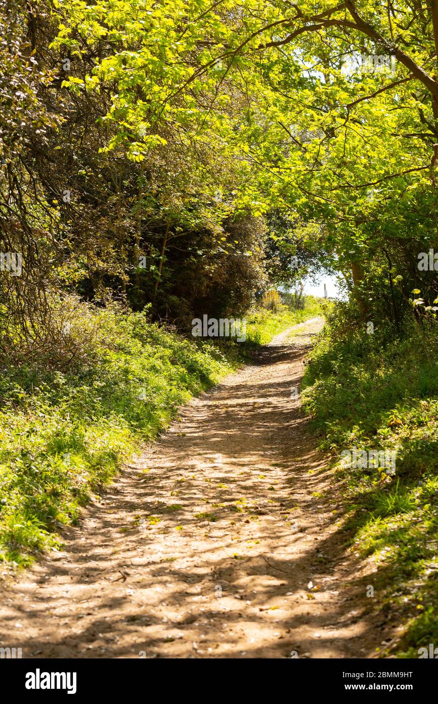 Green formed hi-res stock photography and images - Alamy