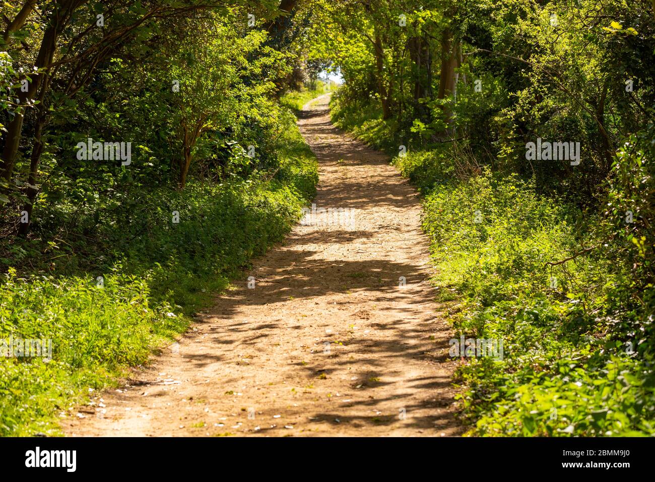 Green formed hi-res stock photography and images - Alamy