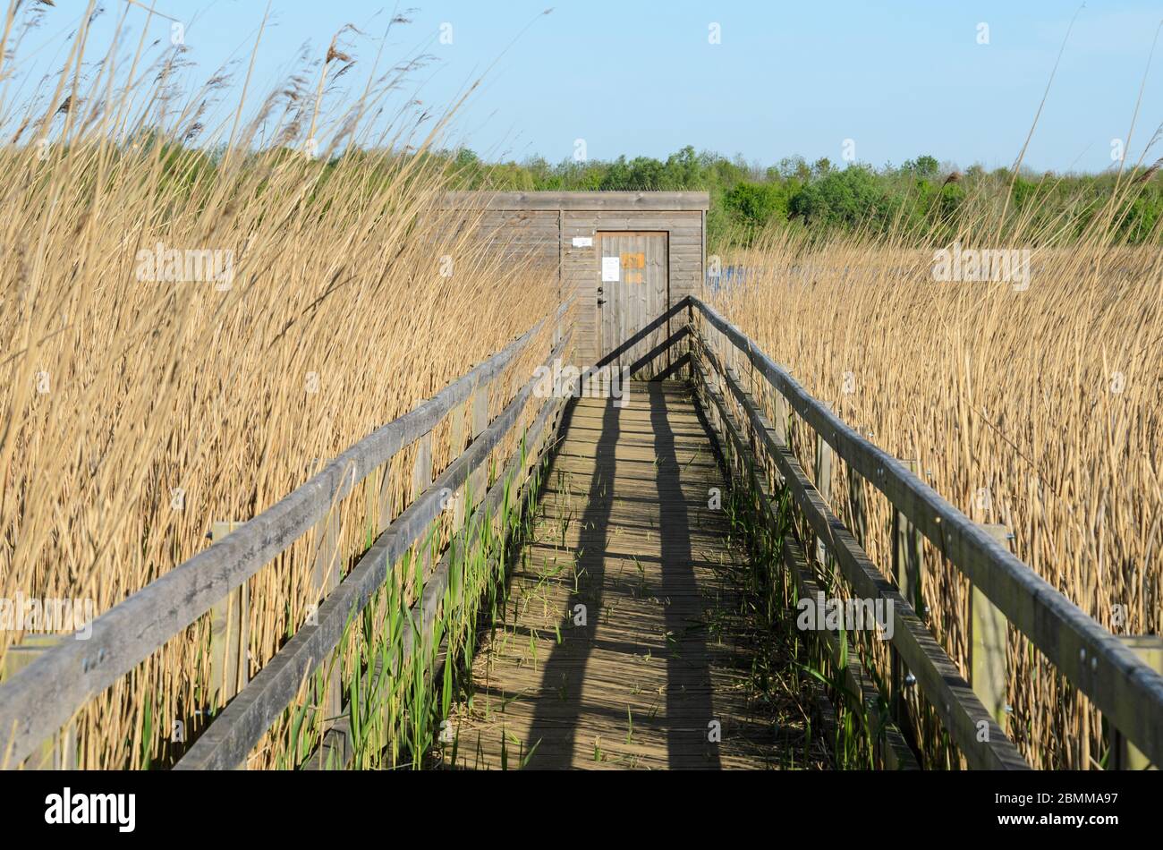 The Bird Hide and wooden boardwalk at Kemerton Nature Reserve in ...