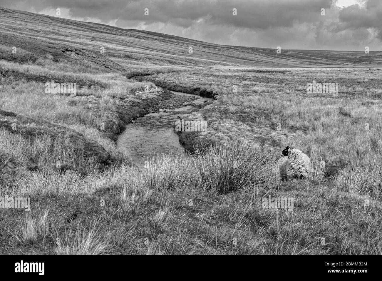 Empty expanse Black and White Stock Photos & Images - Alamy