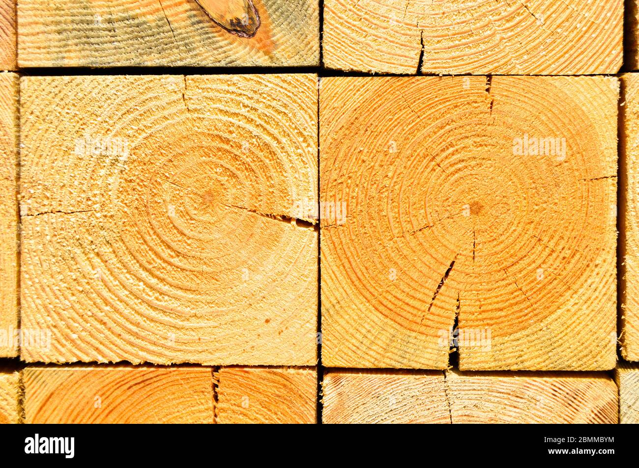 Pine lumber stacked in a row at the sawmill, lumber stack for storage ...