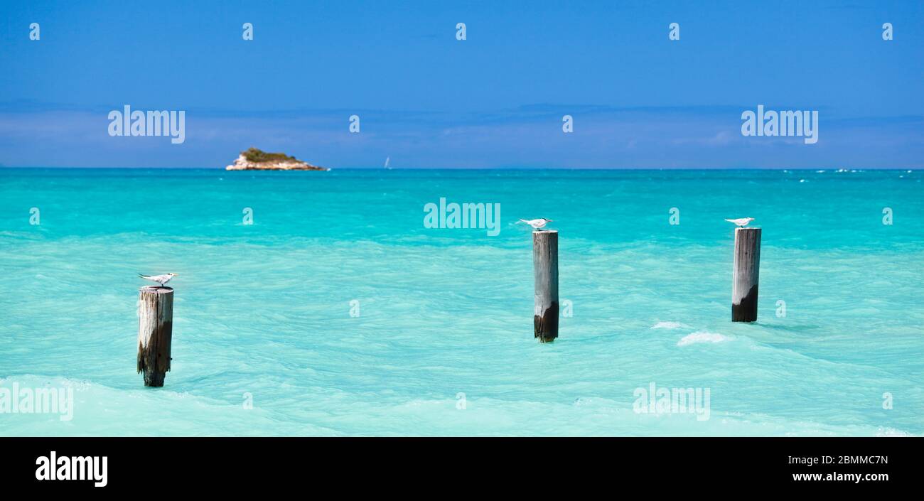 Facing the same direction hi-res stock photography and images - Alamy
